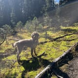 Raven Lake Trail, British Columbia, Canada - 117 Reviews, Map | AllTrails