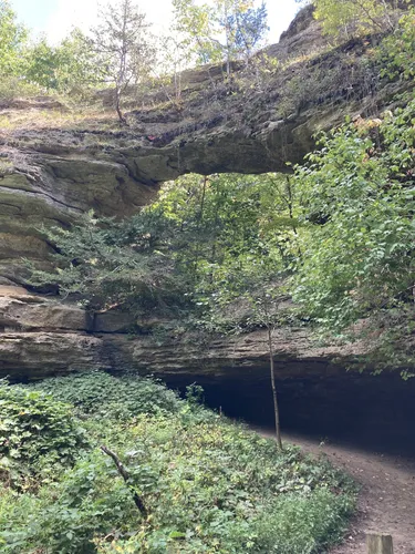 Natural Bridge State Park: de beste routes om te wandelen | AllTrails