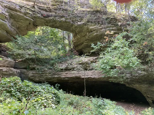 Natural Bridge State Park: de beste routes om te wandelen | AllTrails