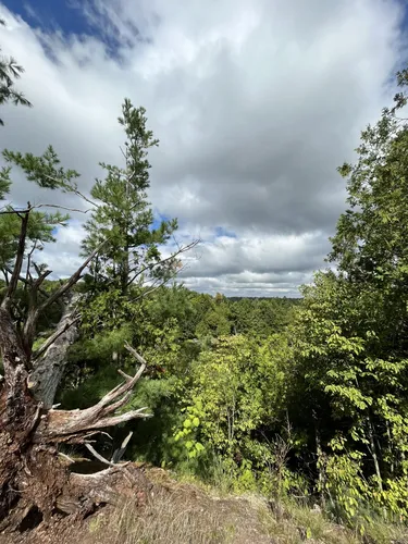 Best Hikes and Trails in Murphy's Point Provincial Park | AllTrails