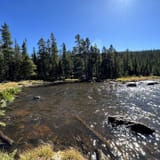 Finch Lake via Finch Lake Trail, Colorado - 292 Reviews, Map | AllTrails