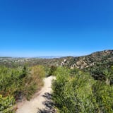 Pico Canyon Park, California - 174 Reviews, Map | AllTrails