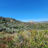 Pico Canyon Park, California - 174 Reviews, Map | AllTrails