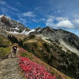 High Pass Trail, Washington - 147 Reviews, Map | AllTrails