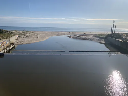 Best Hikes and Trails in River Torrens Linear Park | AllTrails