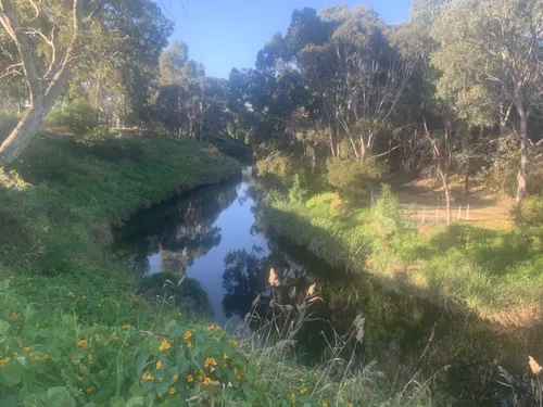 Best Hikes and Trails in River Torrens Linear Park | AllTrails