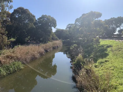 Best Hikes and Trails in River Torrens Linear Park | AllTrails