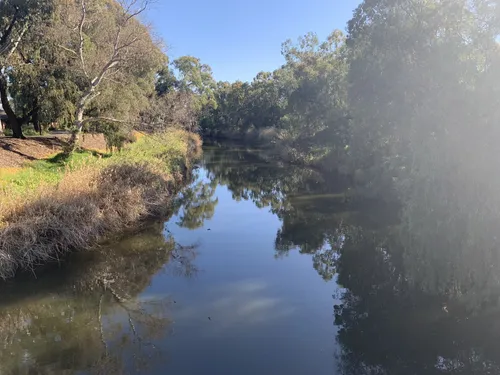 Best Hikes and Trails in River Torrens Linear Park | AllTrails