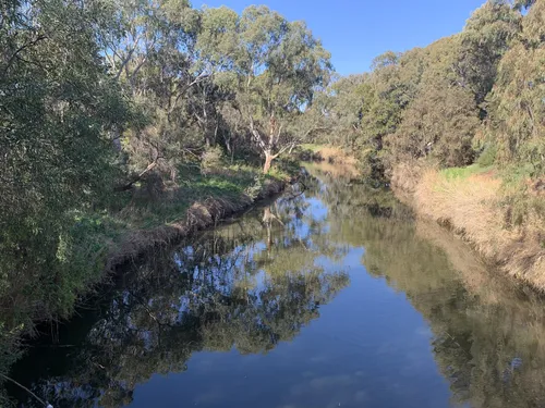 Best Hikes and Trails in River Torrens Linear Park | AllTrails