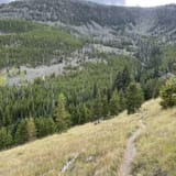 Casey Meadows Trail, Montana - 165 Reviews, Map | AllTrails