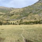 Casey Meadows Trail, Montana - 165 Reviews, Map | AllTrails