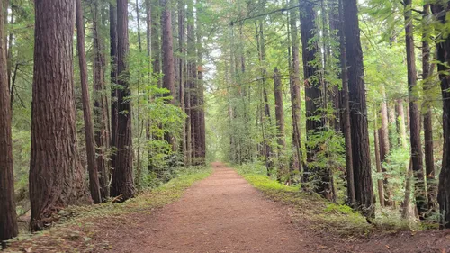 10 Best Trails and Hikes in Aptos | AllTrails