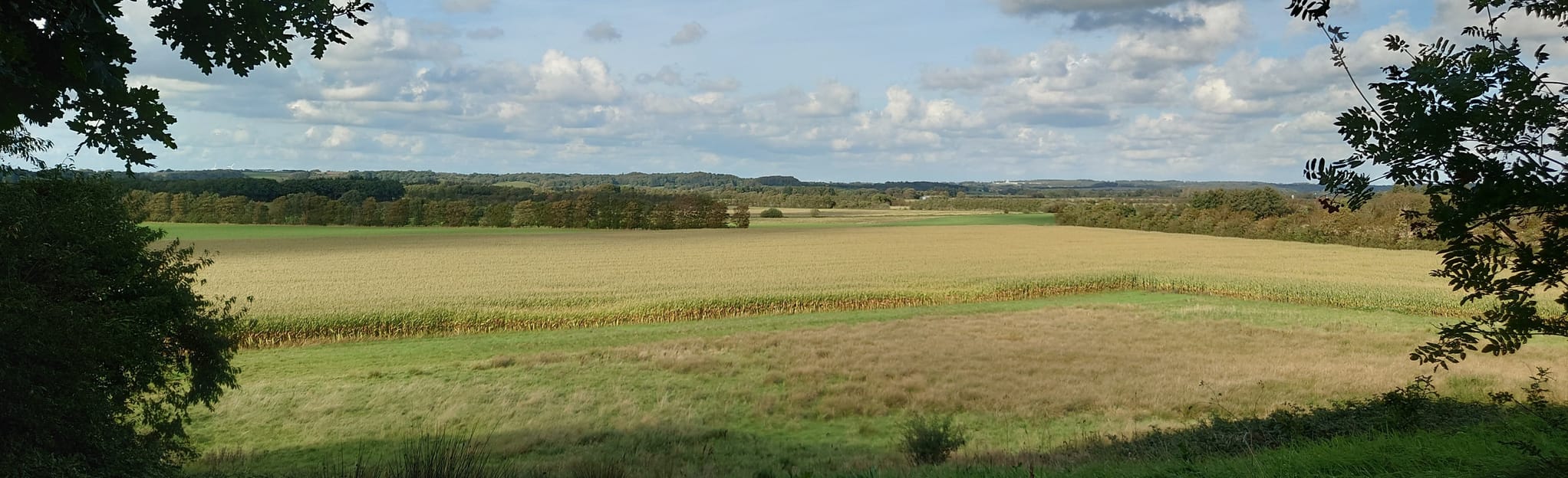 Lintrup Rundt, Region of Southern Denmark, Denmark - 4 Reviews, Map ...