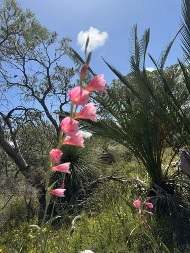 Best Hikes and Trails in Neerabup National Park | AllTrails