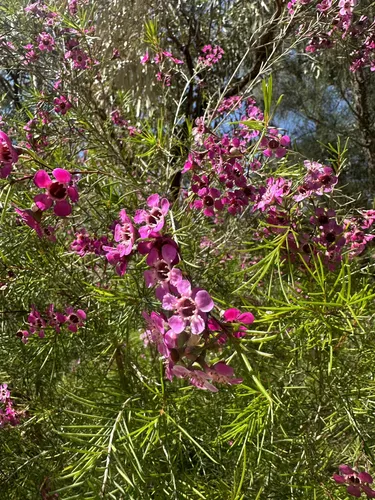 Best Hikes and Trails in Neerabup National Park | AllTrails