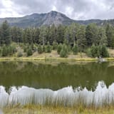 Beaver Ponds Loop Trail, Montana - 1,102 Reviews, Map | AllTrails