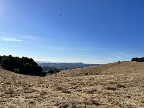 Best Hikes and Trails in Don Castro Regional Recreation Area | AllTrails