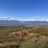 Curry Ridge Trail, Alaska - 756 Reviews, Map | AllTrails