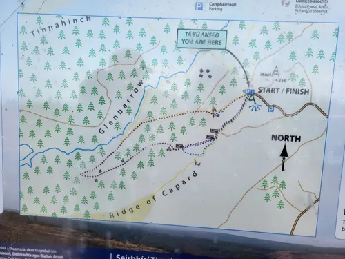 2023 Best Trail Running Trails in Slieve Bloom Mountains Nature Reserve ...