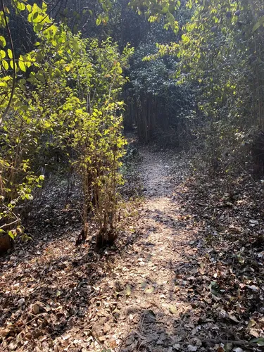 Best Hikes and Trails in B'sorah Trails | AllTrails