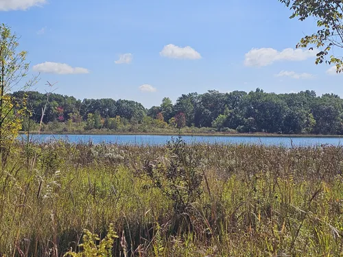 Best Hikes and Trails in Seven Lakes State Park | AllTrails
