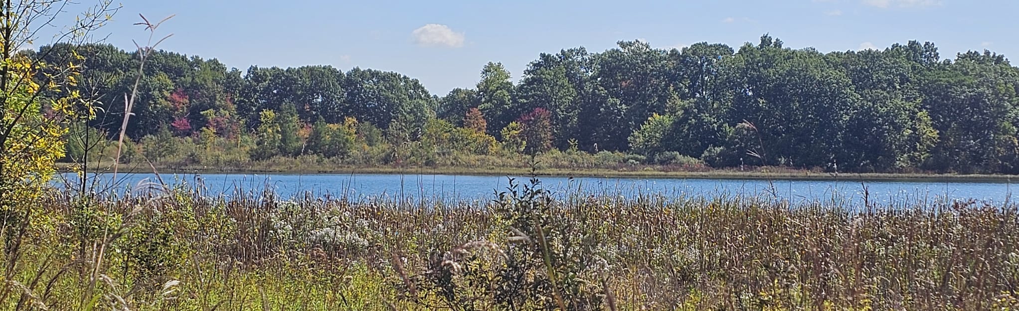 Seven Lakes Green Trail: 649 fotos - Michigan | AllTrails