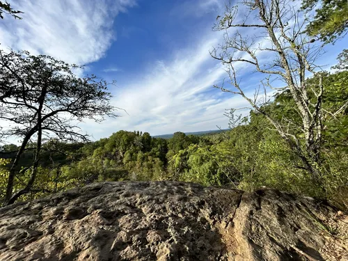 10 Best Hikes and Trails in Ruffner Mountain Nature Preserve | AllTrails