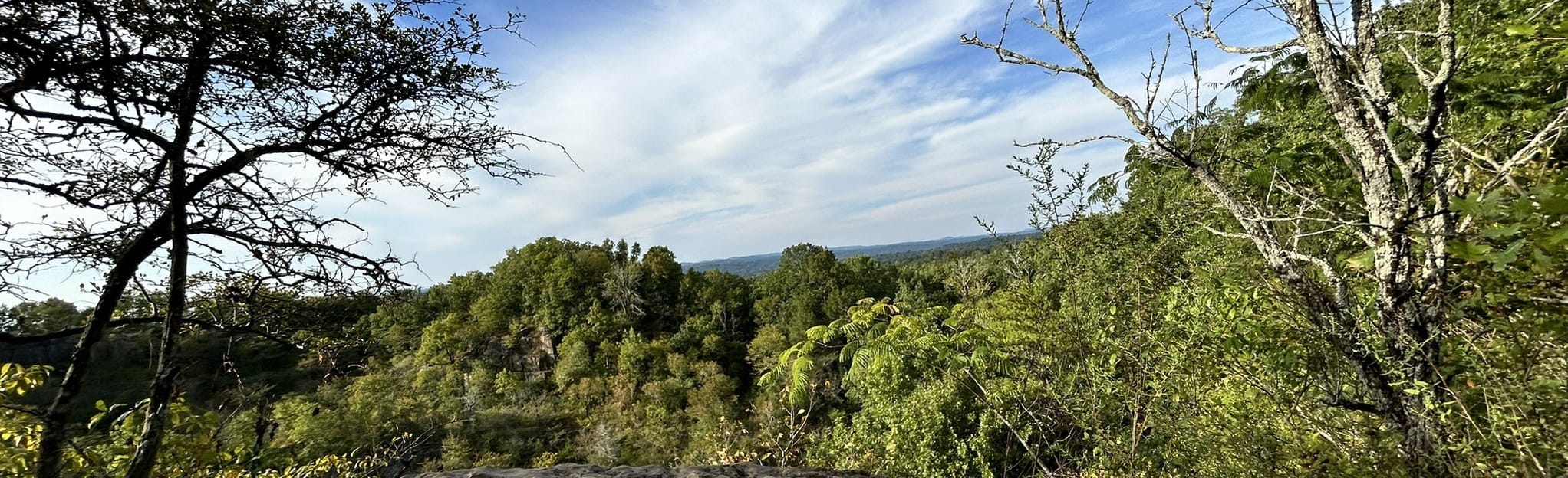 Ridge and Valley Trail to Possum Loop Trail: 177 Reviews, Map - Alabama ...