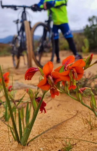 Best Hikes and Trails in Beaverlac Nature Reserve | AllTrails