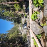 Carlon Falls Trail, California - 1,109 Reviews, Map | AllTrails