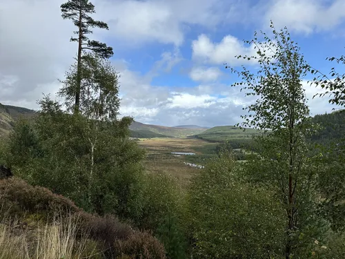 Best Hikes and Trails in Glenmore National Nature Reserve | AllTrails