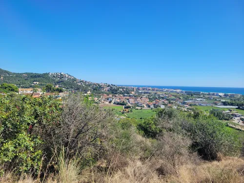 Best Forest Trails in Pineda de Mar | AllTrails