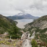 Norway Pass via Boundary Trail, Washington - 362 Reviews, Map | AllTrails