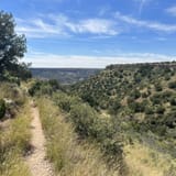 Rock Garden Trail, Texas - 969 Reviews, Map | AllTrails