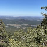 Bill Williams Mountain Trail, Arizona - 507 Reviews, Map | AllTrails