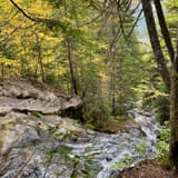 Beaver Brook Trail to Mount Moosilauke, New Hampshire - 1,242 Reviews ...