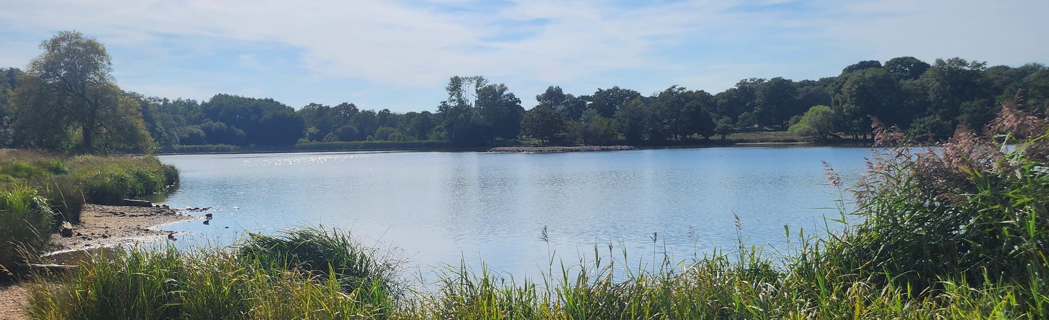 Capital Ring Walk Section 6: Wimbledon Park to Richmond Bridge, London ...