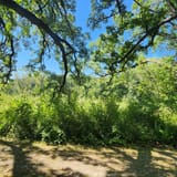 Gander Mountain Loop Trail, Illinois - 514 Reviews, Map | AllTrails