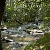Hebron Falls via Boone Fork Trail, North Carolina - 1,161 Reviews, Map ...