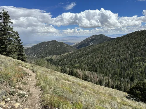 Best 10 Hikes and Trails in Great Basin National Park | AllTrails