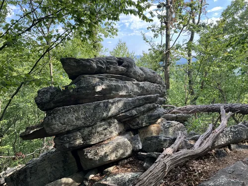 Best Hikes and Trails in Berkeley Springs | AllTrails