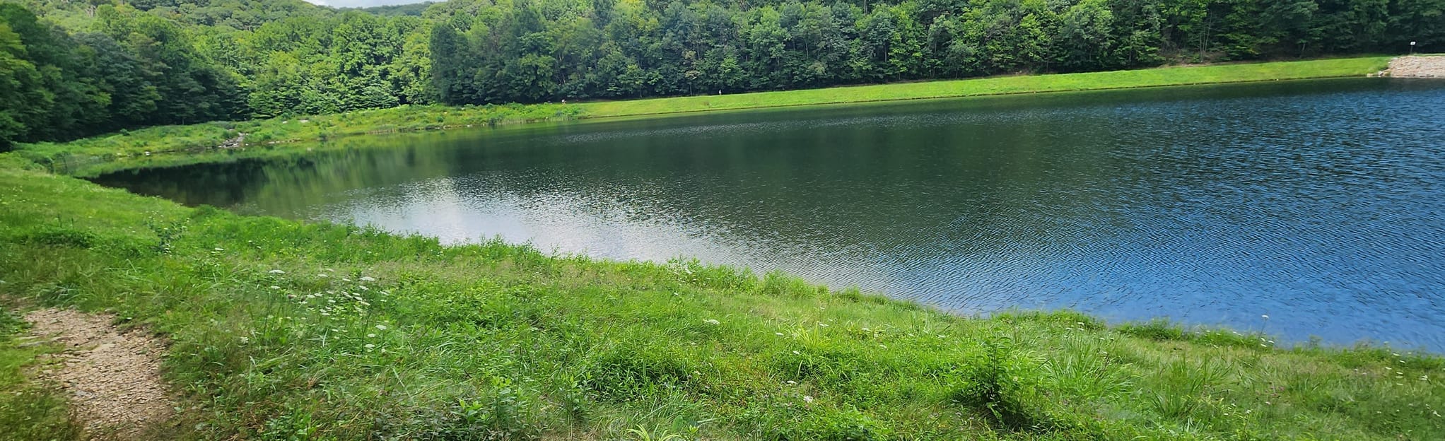 Pulpit Rock and Pinnacle Loop, Pennsylvania - 3,386 Reviews, Map ...