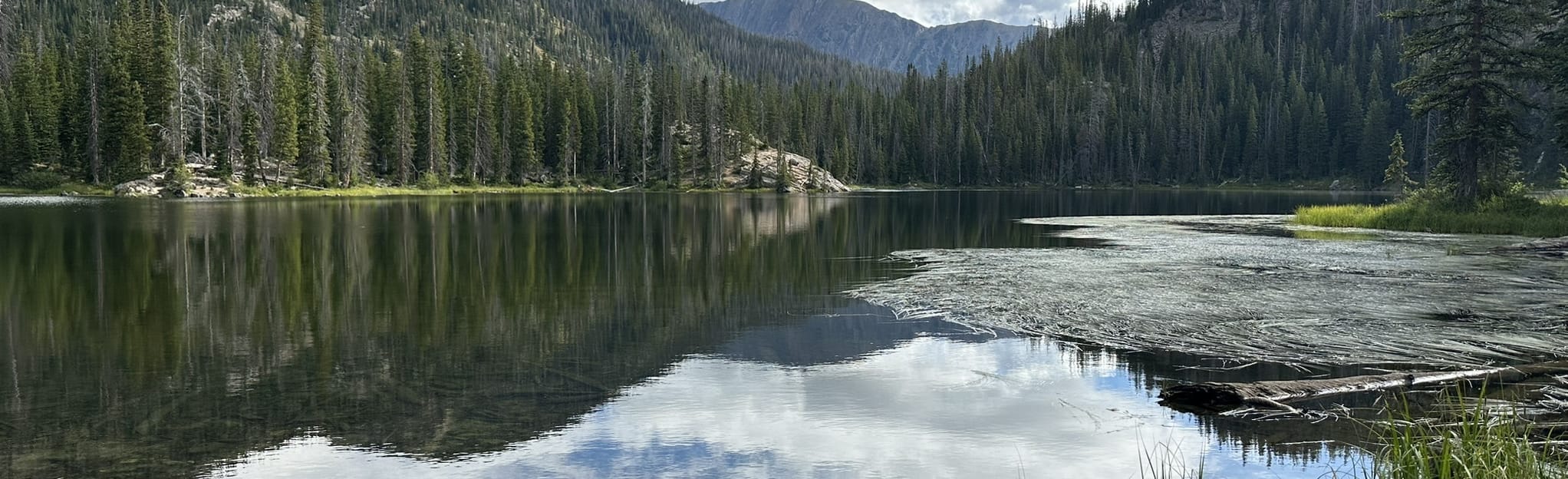 Gold Creek Lake via FS 1150, Colorado - 319 Reviews, Map | AllTrails