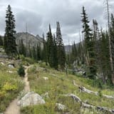 Mount Zirkel Loop Trail, Colorado - 807 Reviews, Map | AllTrails