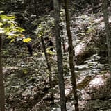 Patton Cave via Hayes and Patton Cave Trail, Indiana - 290 Reviews, Map ...