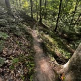 Patton Cave via Hayes and Patton Cave Trail, Indiana - 290 Reviews, Map ...