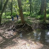 Patton Cave via Hayes and Patton Cave Trail, Indiana - 290 Reviews, Map ...