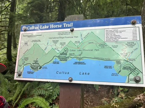 2023 Best River Trails in Cultus Lake South | AllTrails