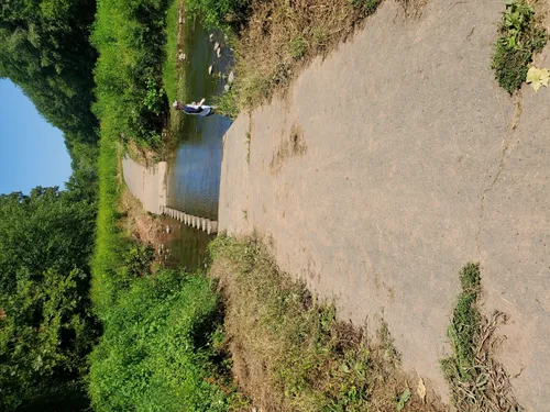 Best Hikes and Trails in Cub Run Stream Valley Park | AllTrails