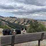 Round Top, Volcanic and Skyline Loop, California - 2,784 Reviews, Map ...